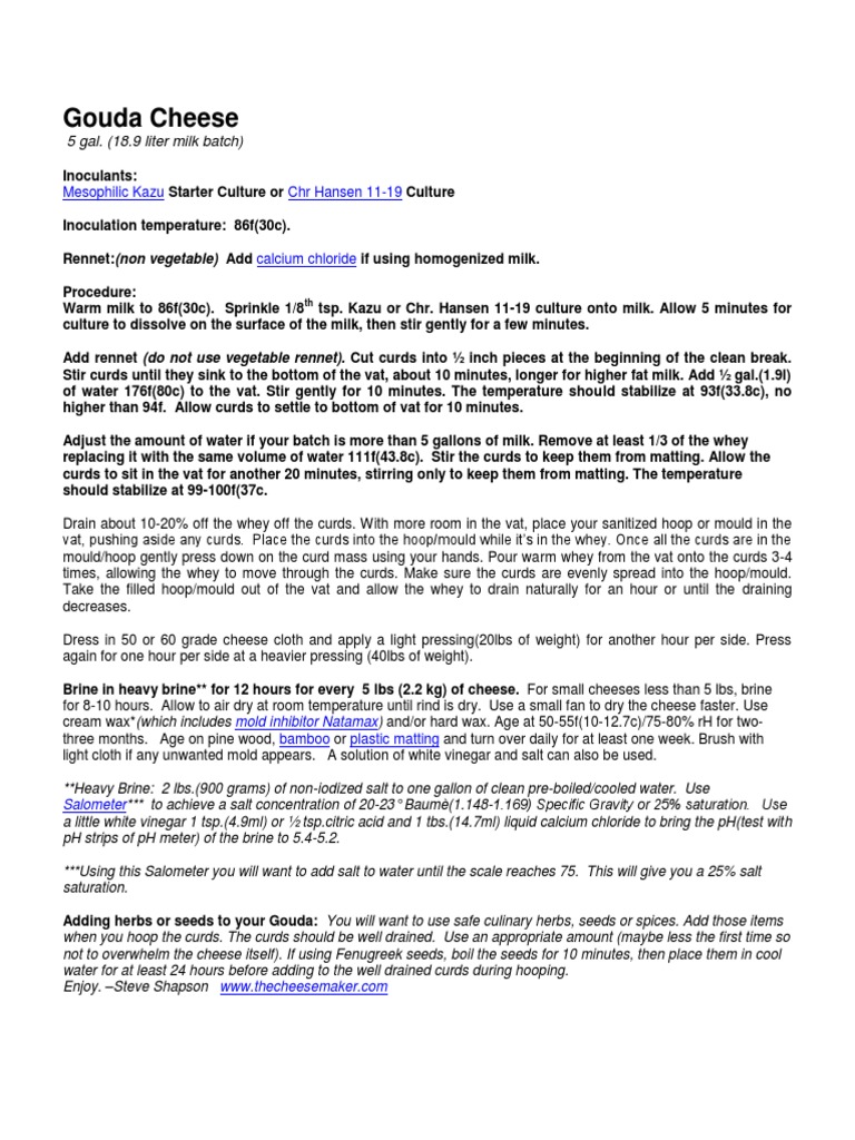 Making Gouda | PDF | Cheese | Milk