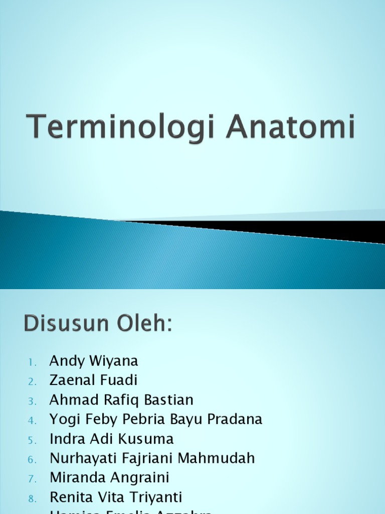 Anatomi Tulang dan Istilah Medis | PDF