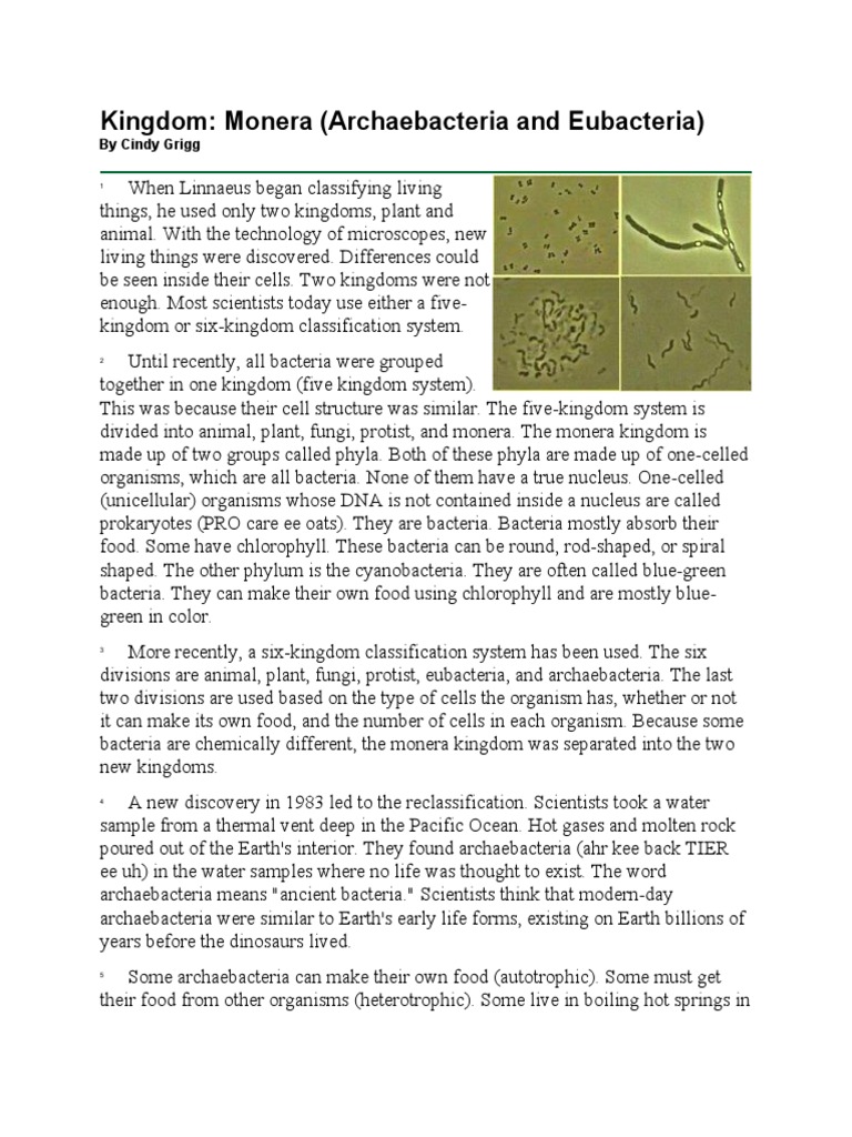 Kingdom Monera Reading PDF | PDF | Microorganism | Life Sciences