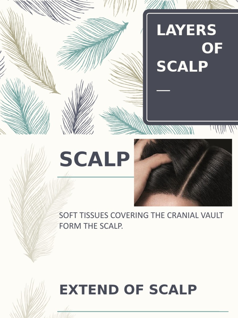 Layers of Scalp | PDF | Skin | Human Head And Neck