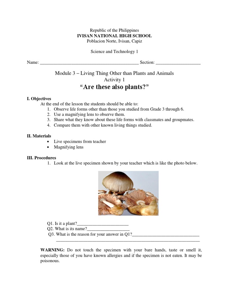 Demo Activity Sheet | PDF