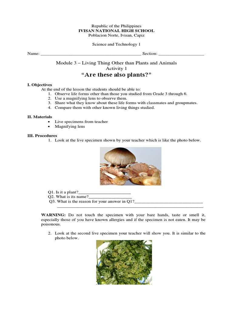 Midterm Demo Activity Sheet | PDF