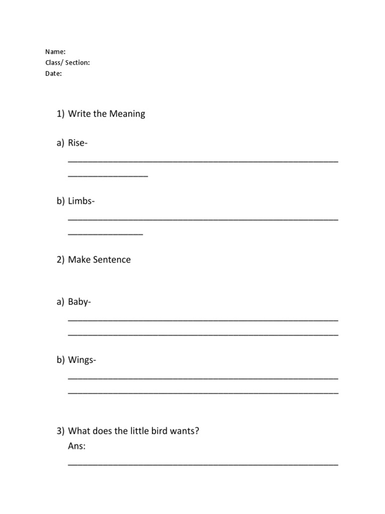 Name: Class/ Section: Date | PDF