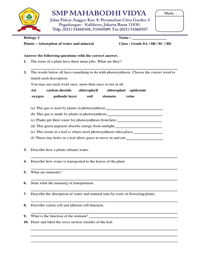 Worksheet - Plants - Absorption of Water and Mineral | PDF