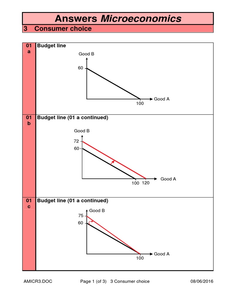 Answers Microeconomics: 3 Consumer Choice | PDF | Demand | Consumers
