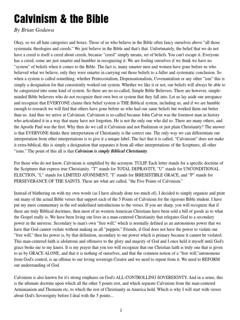 Calvinism & The Bible: by Brian Godawa | PDF | John The Baptist ...