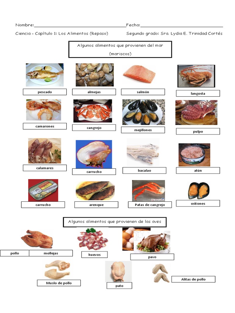 Bajo Los Nombres De Los Alimentos Del Mar