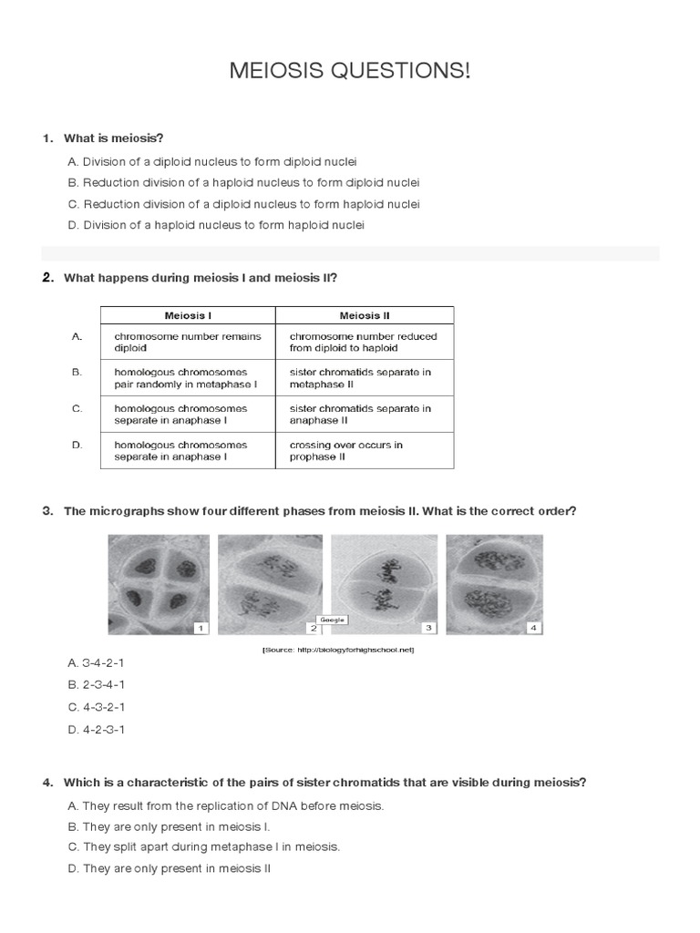 Meiosis Quiz + Markscheme | PDF