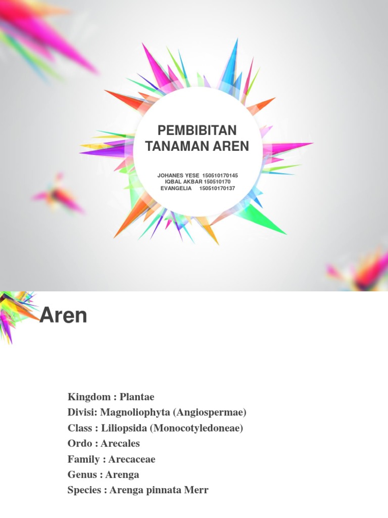 Tahap Pembibitan Aren | PDF