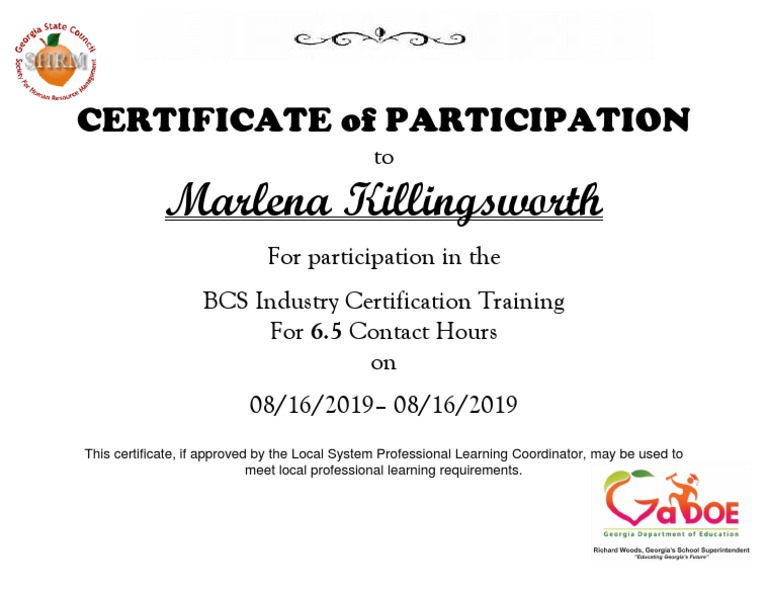 BCS Training Certificate | PDF