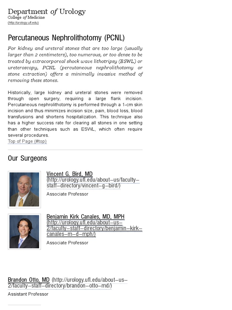 Percutaneous Nephrolithotomy (PCNL) Department of Urology College of ...