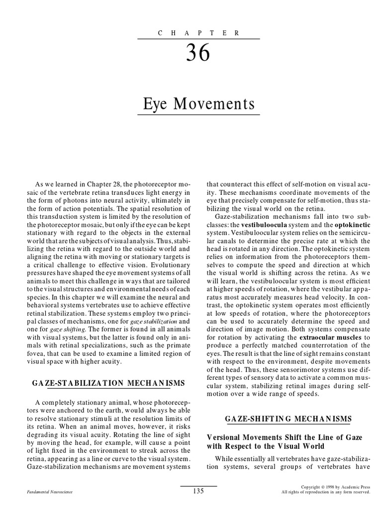 Eye Movements | PDF | Vestibular System | Retina