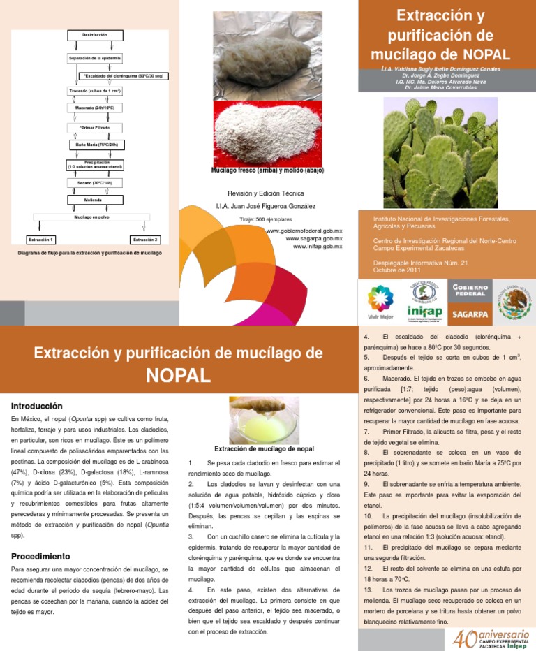 Mucilago de Nopal | PDF | Agua | Ciencias fisicas