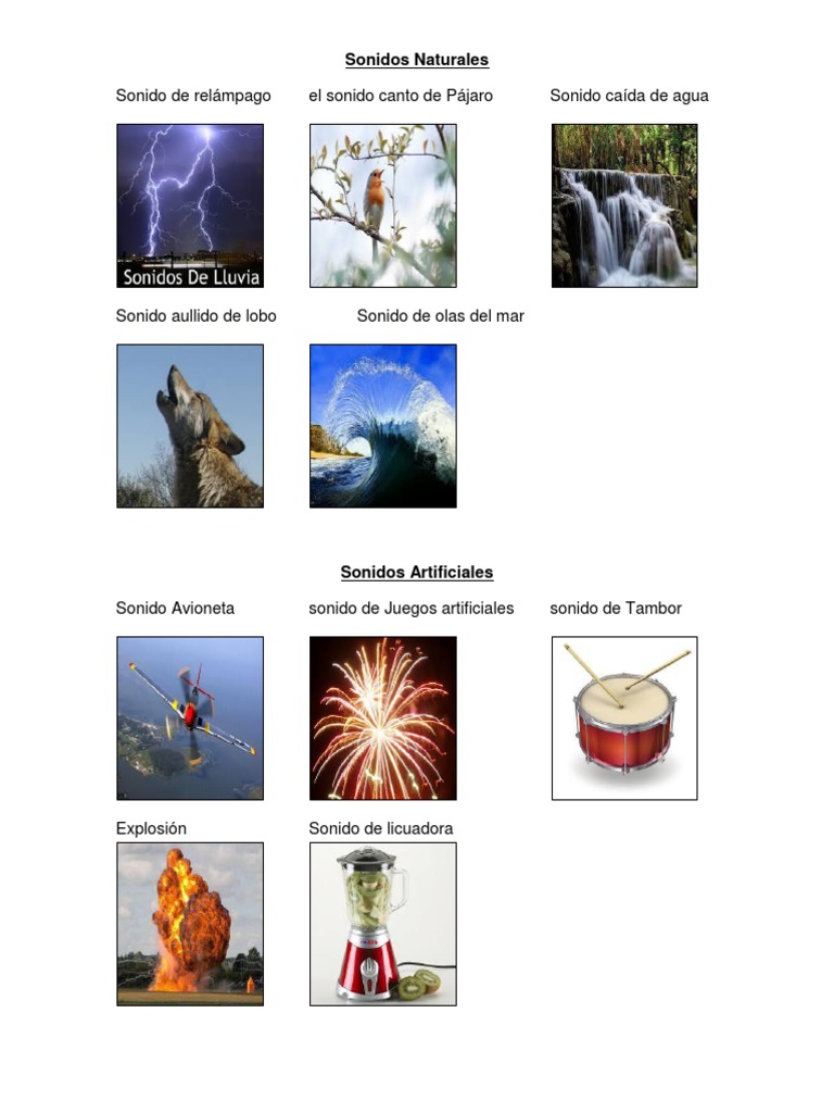 Sonidos Naturales y Artificiales | PDF
