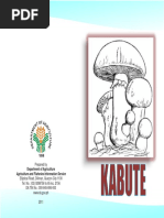 How To Plant Ube - Compiled | PDF