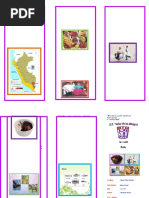 Vestimenta de Huaylas Moderno | PDF | Ropa | Bienes de consumo