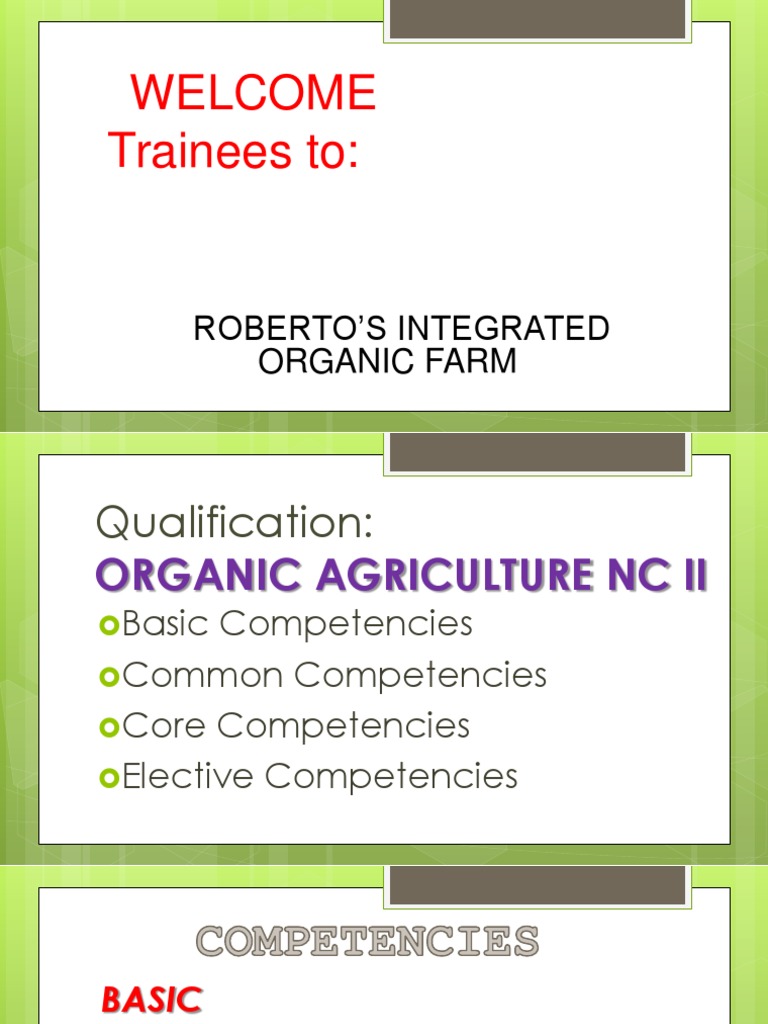 Fls PPT Demo | PDF | Educational Technology | Curriculum