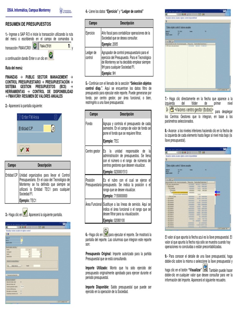 Instructivo FM | PDF | Point and Click | Presupuesto