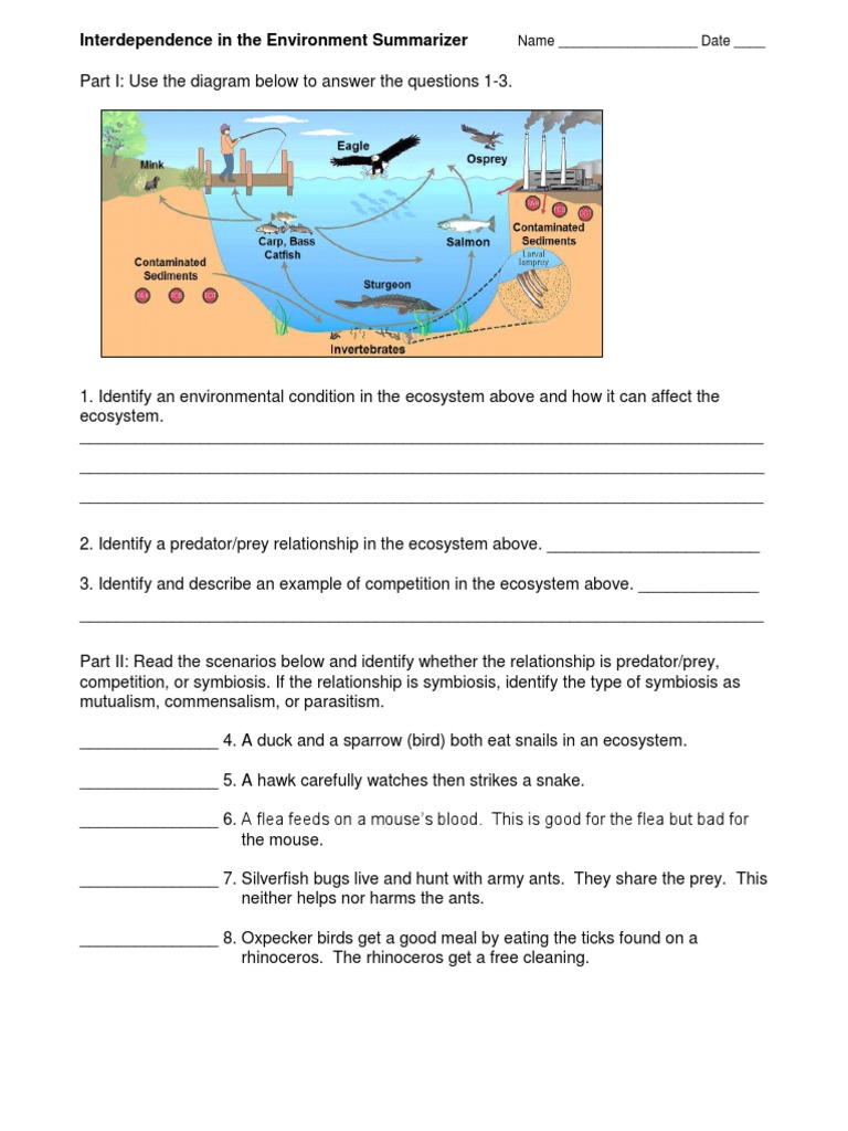Ecosystem Interdependence Activities | PDF
