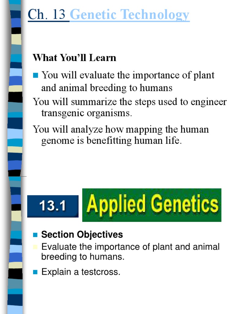 Genetic Technology: Breeding & Engineering | PDF | Molecular Cloning ...