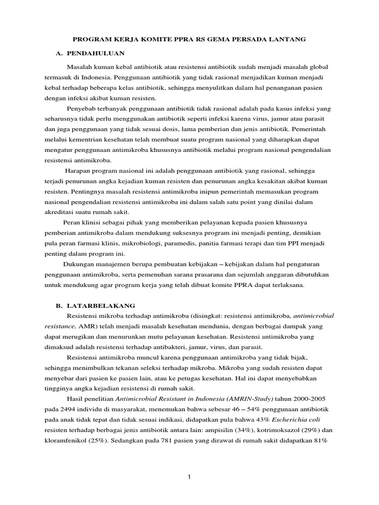 Program Kerja Ppra Contoh 2 | PDF