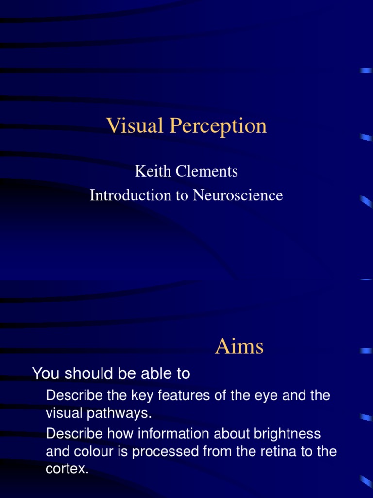 Visual Perception: Keith Clements Introduction To Neuroscience | PDF ...