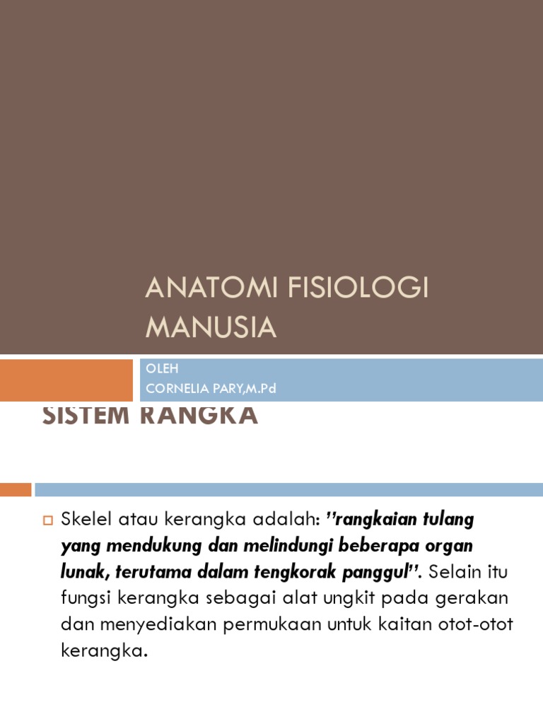 Sistem Rangka | PDF