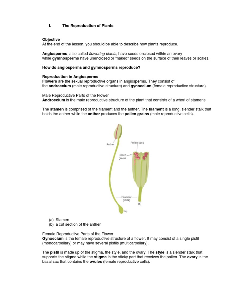 Perpetuation of Life | PDF | Fertilisation | Dna