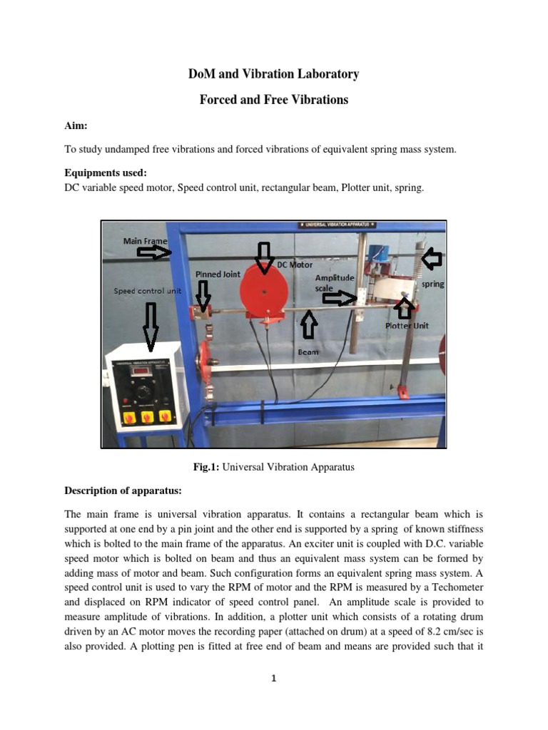 Forced and Free Vibration Project | PDF | Frequency | Resonance