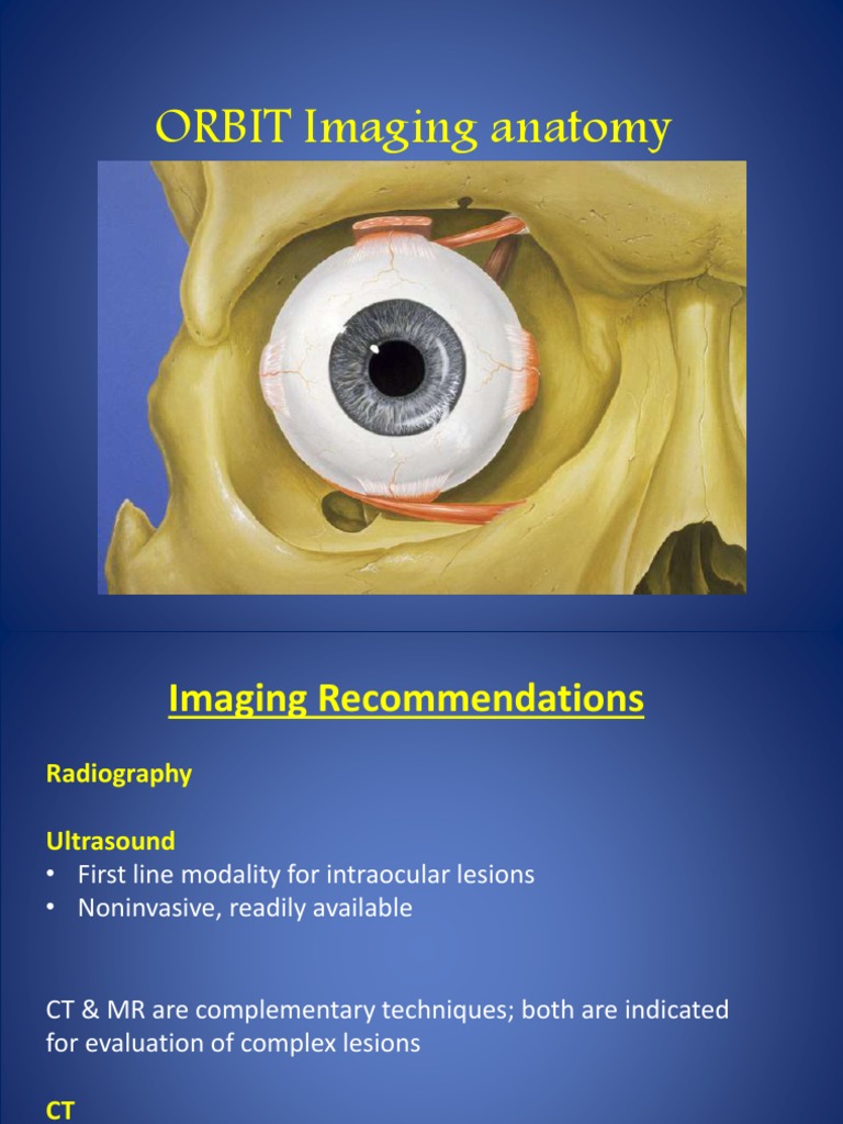 ORBIT Imaging Anatomy | PDF | Skeletal System | Primate Anatomy