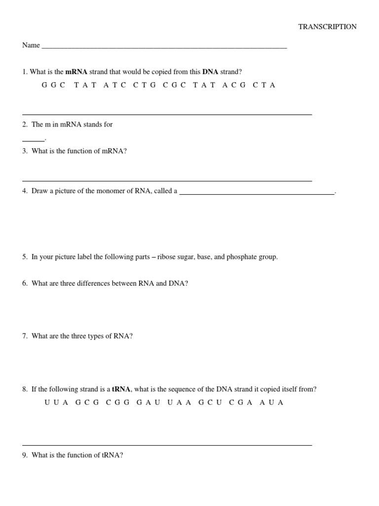 8.12 RNA Transcription Worksheet | PDF | Rna | Messenger Rna