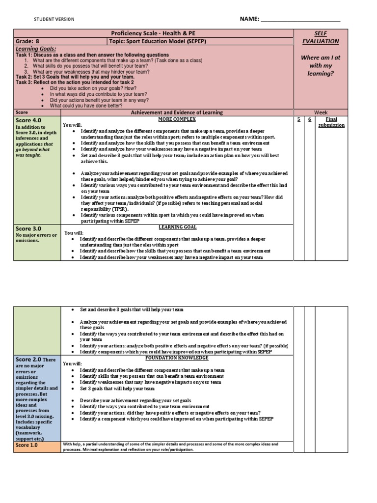 Sepep Year 8 Prof Scale | Download Free PDF | Goal | Neuropsychological ...