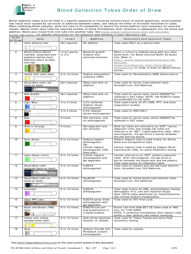 Blood Collection Order of Draw Guide | PDF | Blood Plasma | Blood