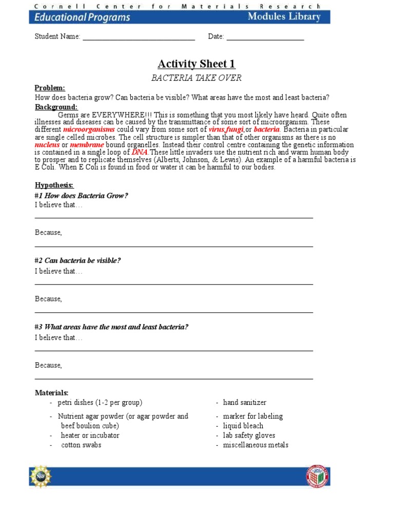 Bacteria Growth Experiment Guide | PDF | Bacteria | Microorganism