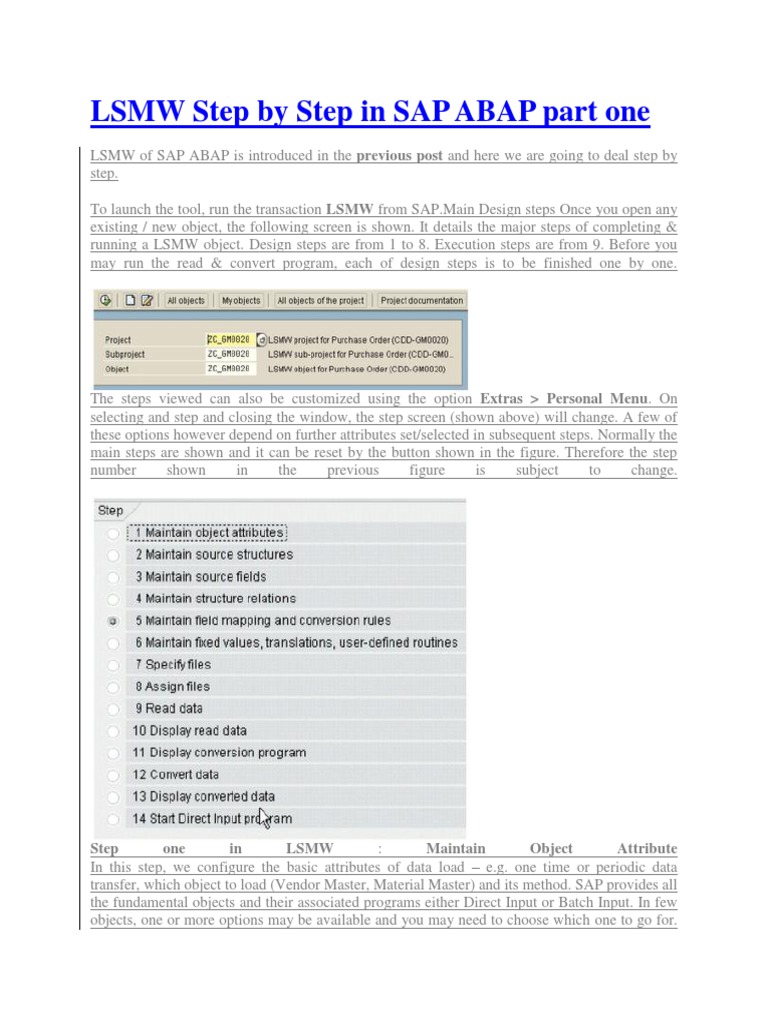 Lsmw Step By Step In Sap Abap Part One Two Pdf Data Management Information Technology