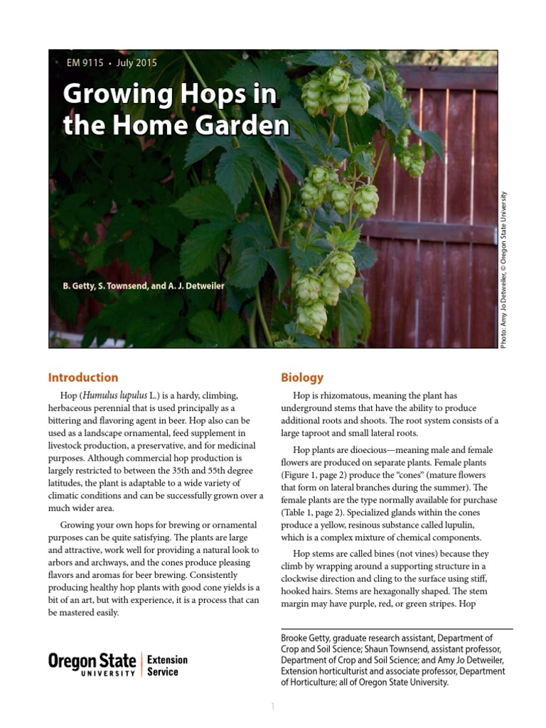 Growing Hops in The Home Garden: Biology | PDF | Hops | Landscape