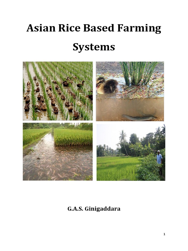 Asian Rice Based Farming Systems: G.A.S. Ginigaddara | PDF | Rice | Manure