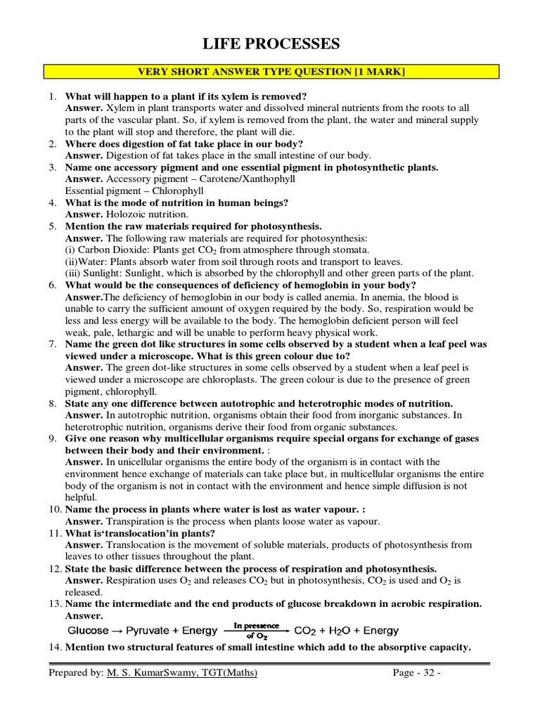 03 Life Processes Chapter Wise Important Questions | PDF | Digestion ...