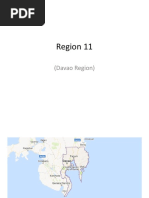 Region 11 | PDF | Nature