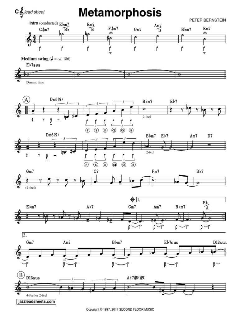 BernsteinPeter Metamorphosis C | PDF | Entertainment (General)