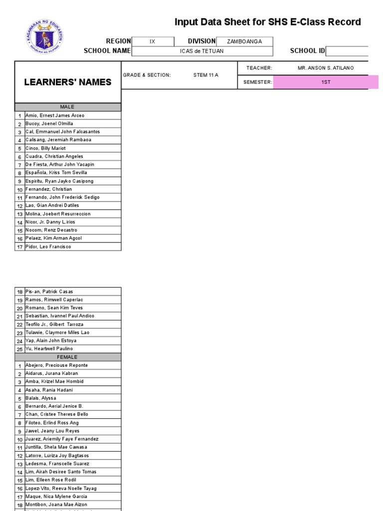 Input Data Sheet For SHS E-Class Record: Learners' Names | PDF