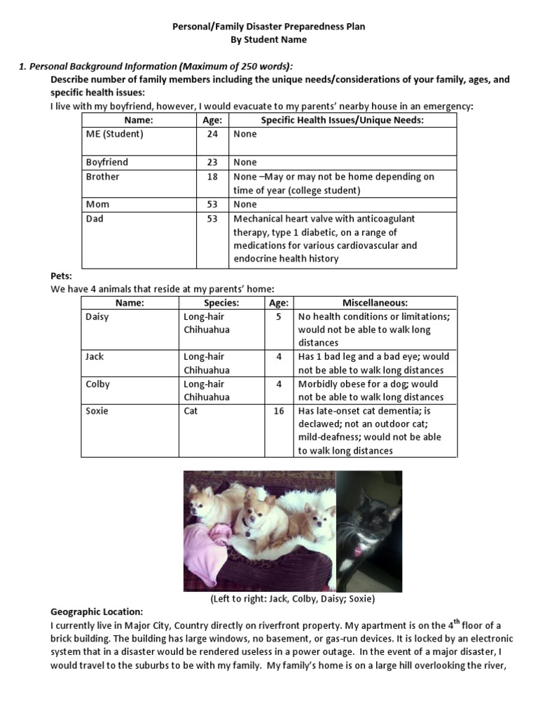 Sample Personal - Disaster - Plan PDF | PDF | Emergency Management ...