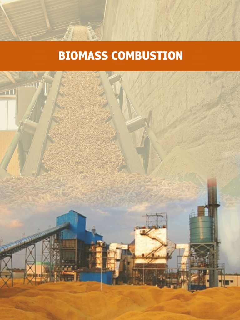 Biomass Combustion Systems Overview | PDF | Combustion | Water