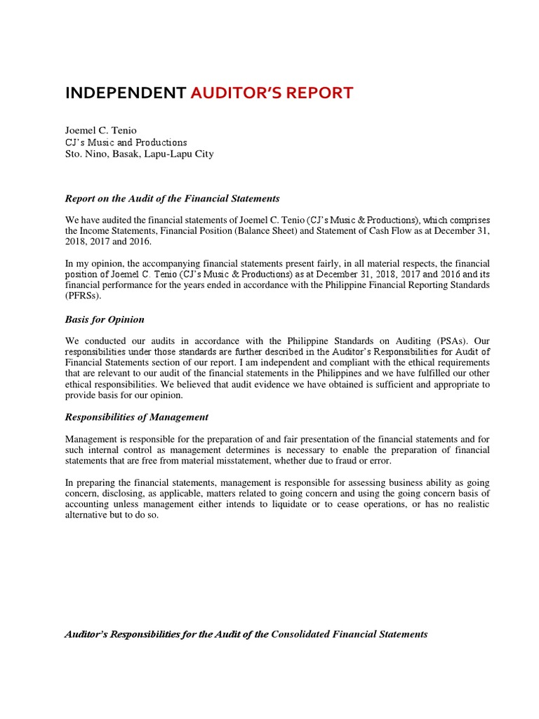 Independent: Auditor'S Report | PDF | Going Concern | Audit