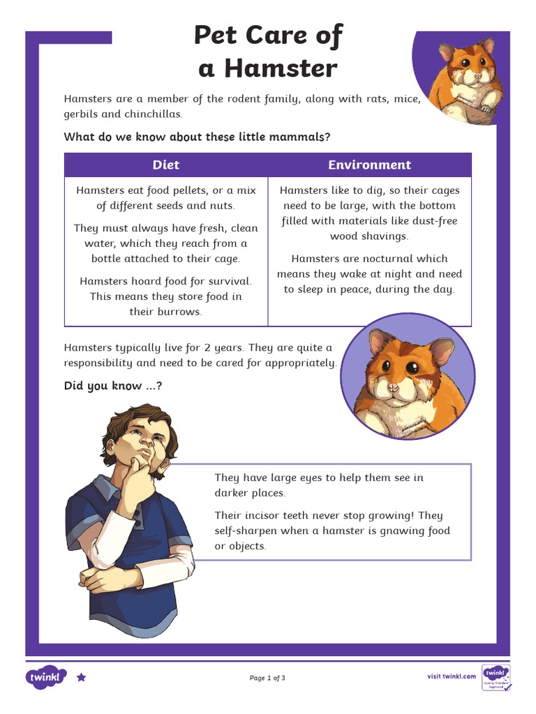 Pet Care of A Hamster Differentiated Reading Comprehension Activity PDF ...