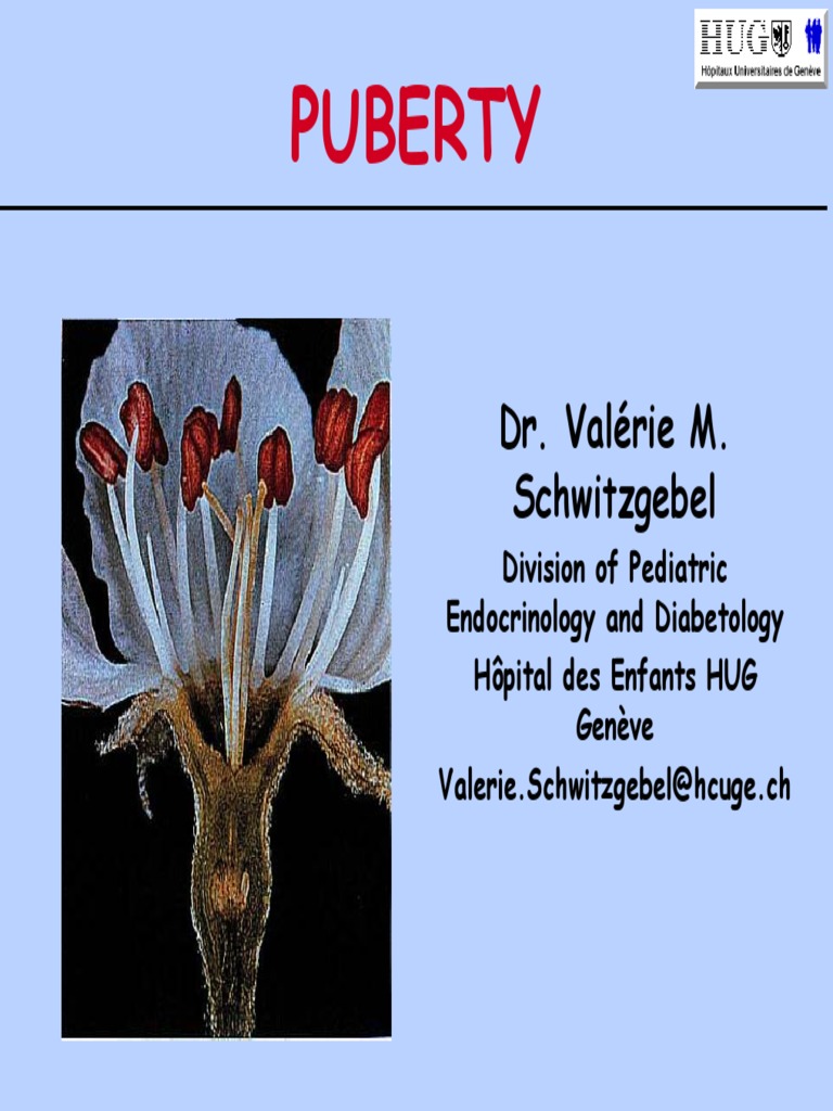 Puberty Pdf Pdf Puberty Testicle