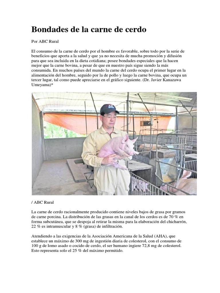 Bondades de La Carne de Cerdo | PDF | Carne | Vitamina