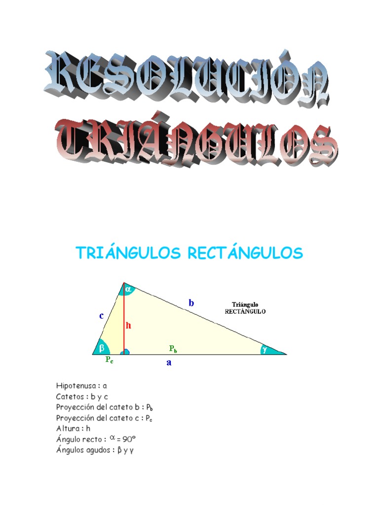Hoja De Trabajo De Trigonometría De Triángulos Rectángulos Con Respuestas