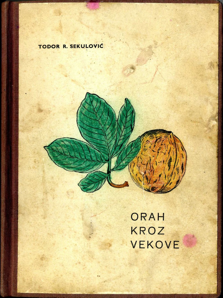 Todor Sekulovic - Orah Kroz Vekove PDF | PDF