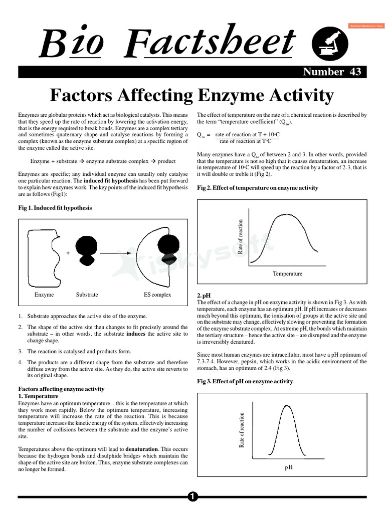 Factors Affecting Enzyme Activity | PDF | Active Site | Enzyme